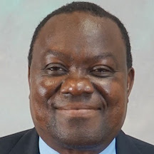 A New Dean for the College of Business and Information Systems at South ...